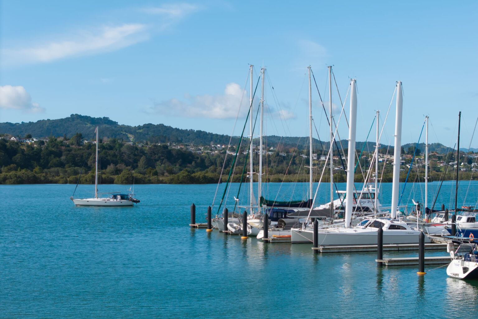 Residential Stage 1A Now Selling - Port Nikau